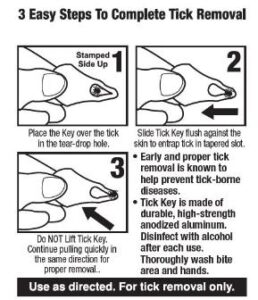 How To Properly Check For Ticks - TickKey International